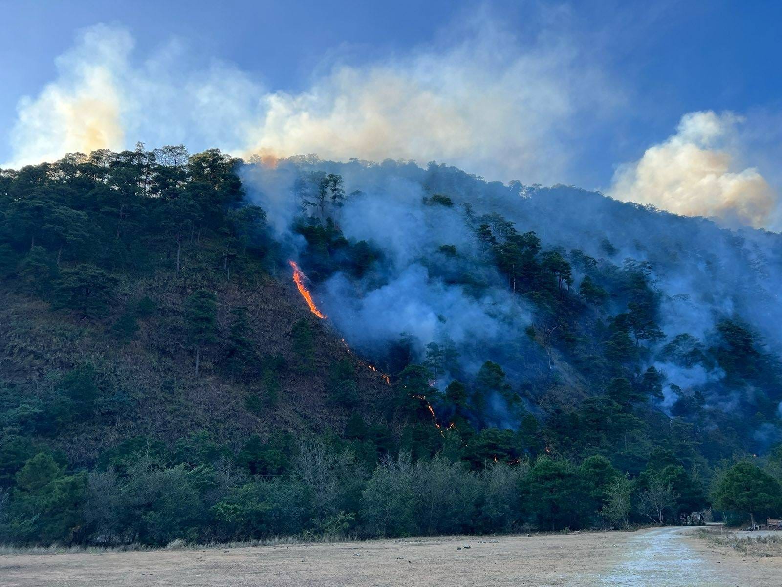 Wildfire sa Itogon, Benguet, nasa 60 na porsyento nang naapula ...