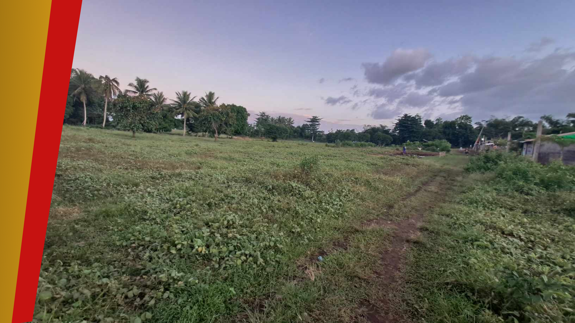 Loteng ibinigay sa ilang pamilya sa Naga , ipinagbibili ng ilan- City ...