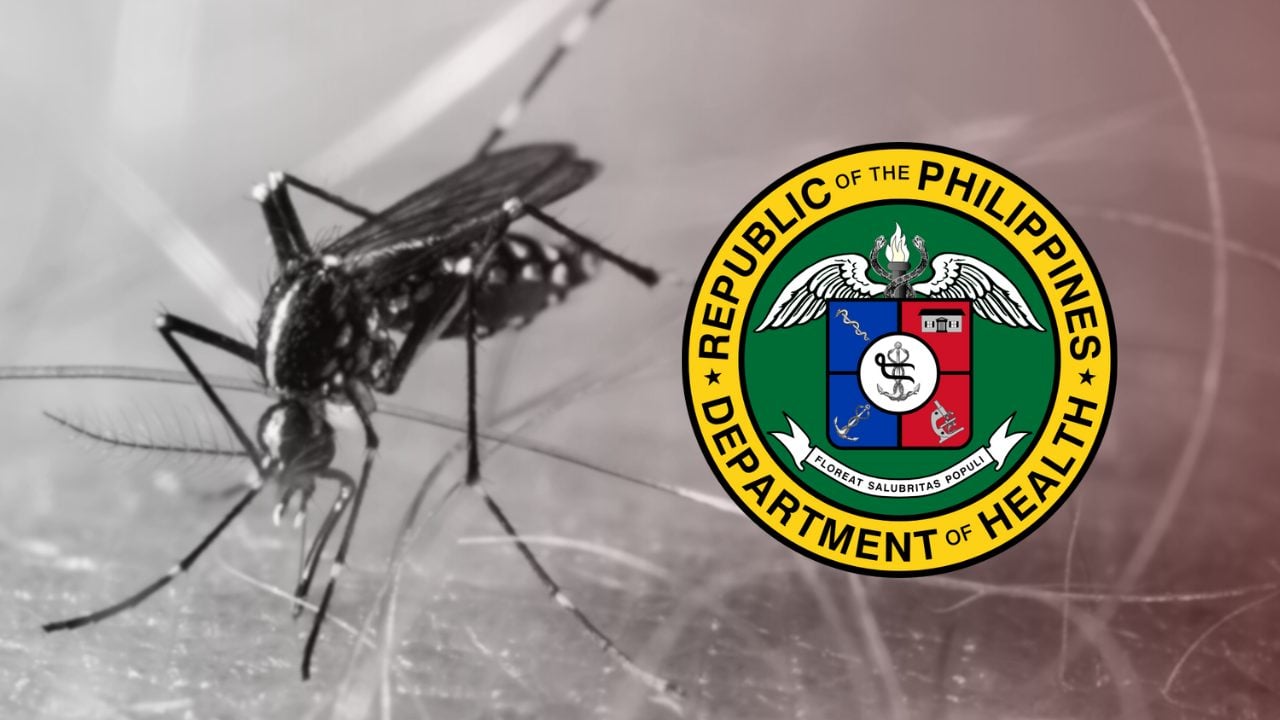 National dengue outbreak declaration - 'di pa napapanahon ayon sa DOH ...