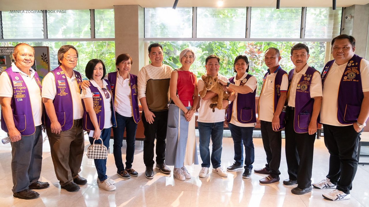 PETA, kinundena ang bagong leon ng Manila Zoo - Brigada News